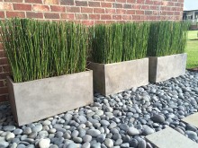 Newport Rectangular Concrete Planter | MOSS MANOR