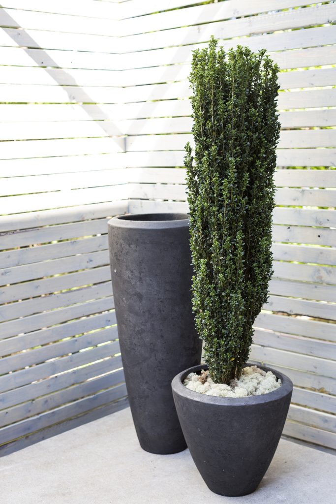 Bella Planter Collection - Moss Manor
