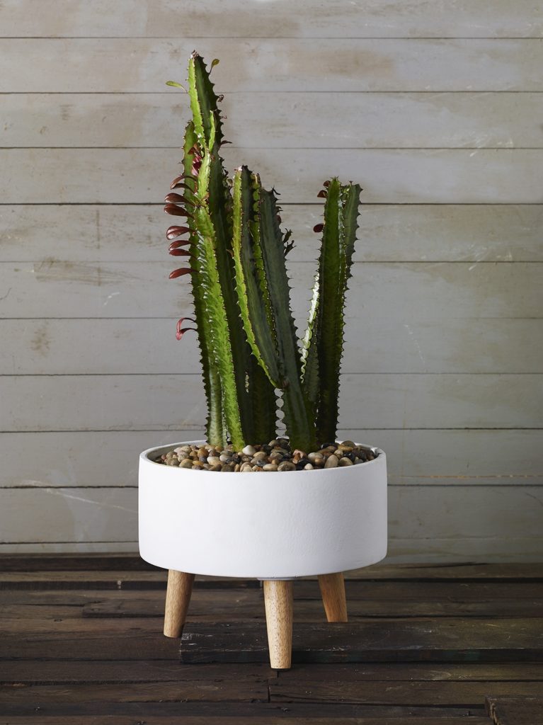 Parkview Footed Planter, Set of Two - Moss Manor