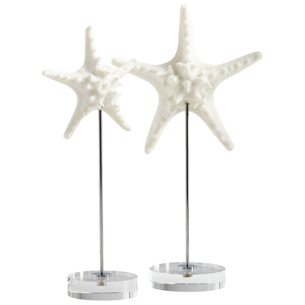 Asterina Starfish Shell Sculpture Collection - Moss Manor