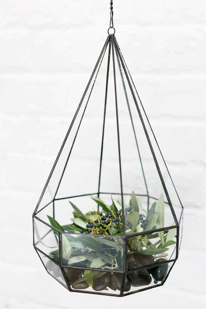 Parker Hanging Terrarium Set - Moss Manor