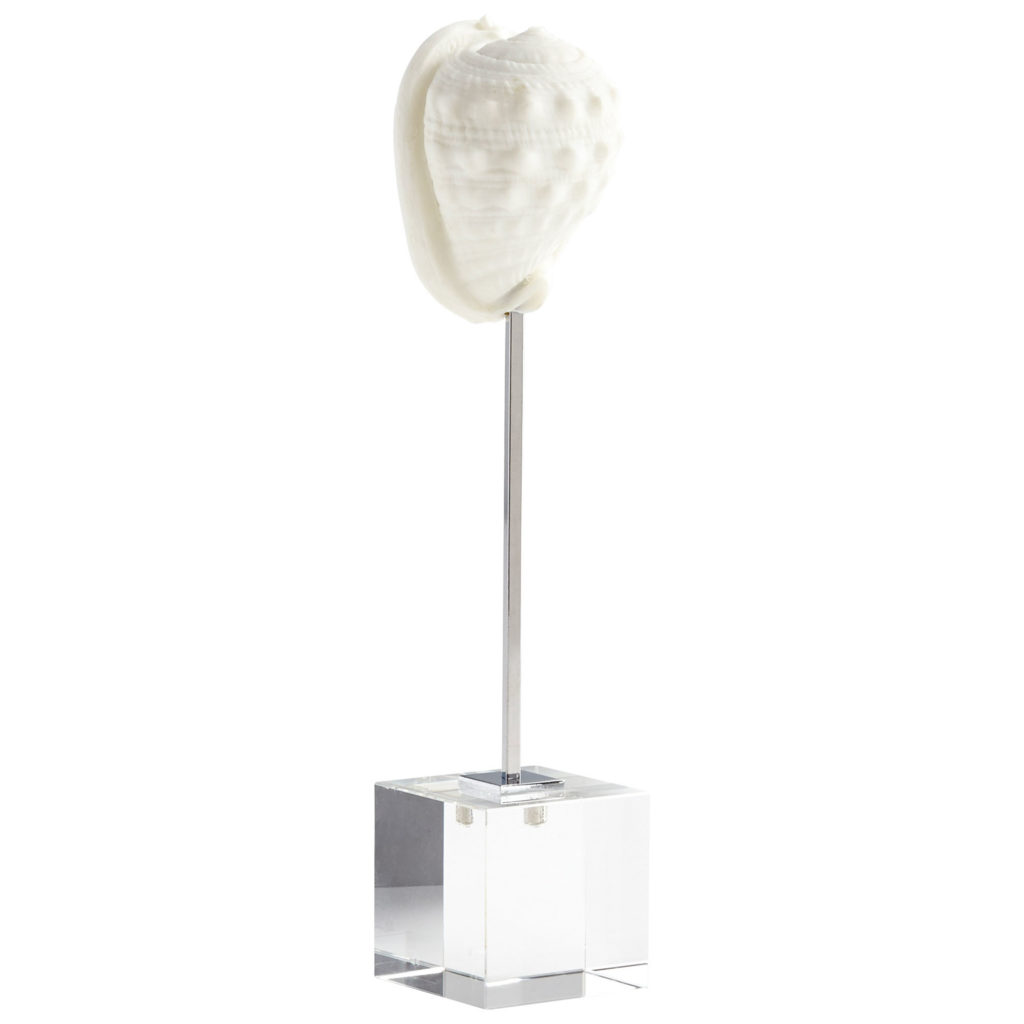 Phalium Shell Sculpture - Moss Manor