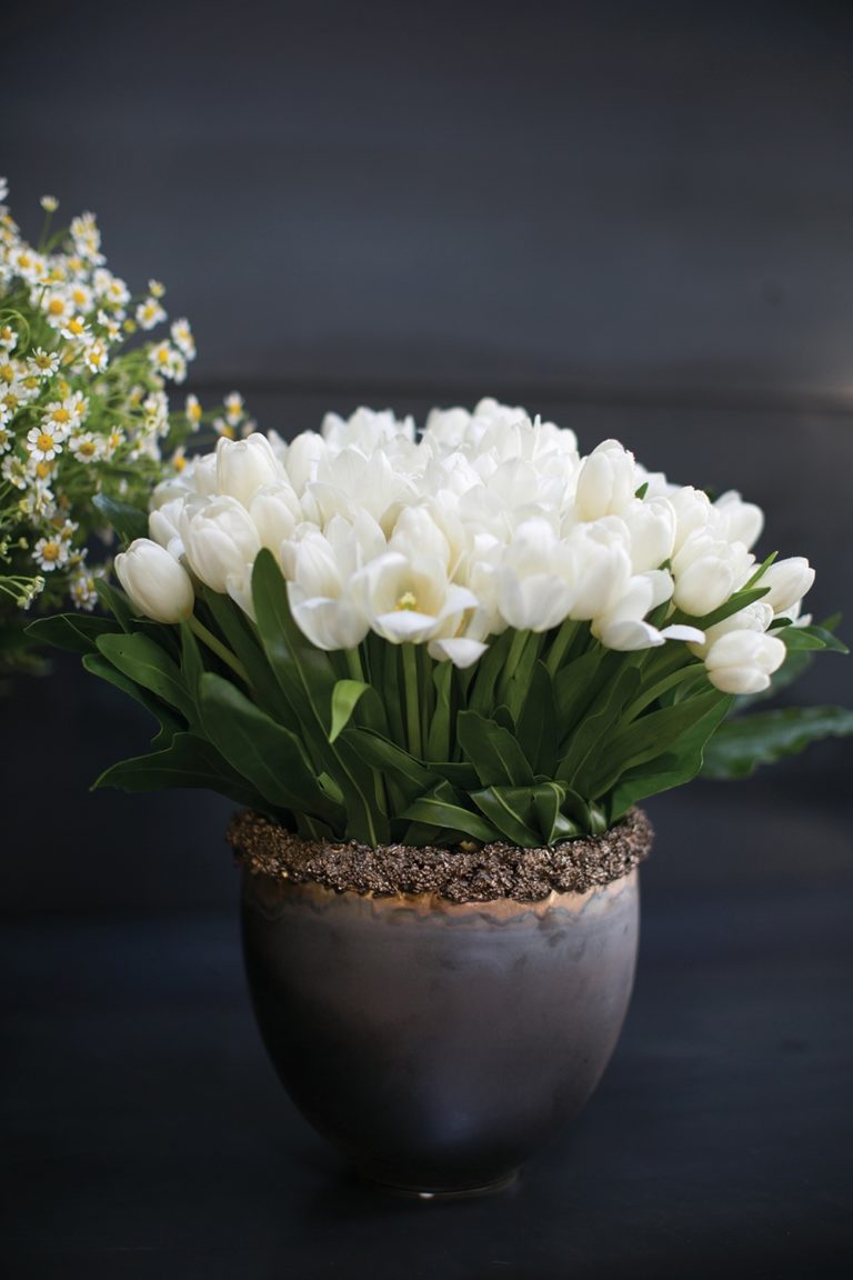 Sophie Pot Collection, Set of Two - Discontinued - Moss Manor