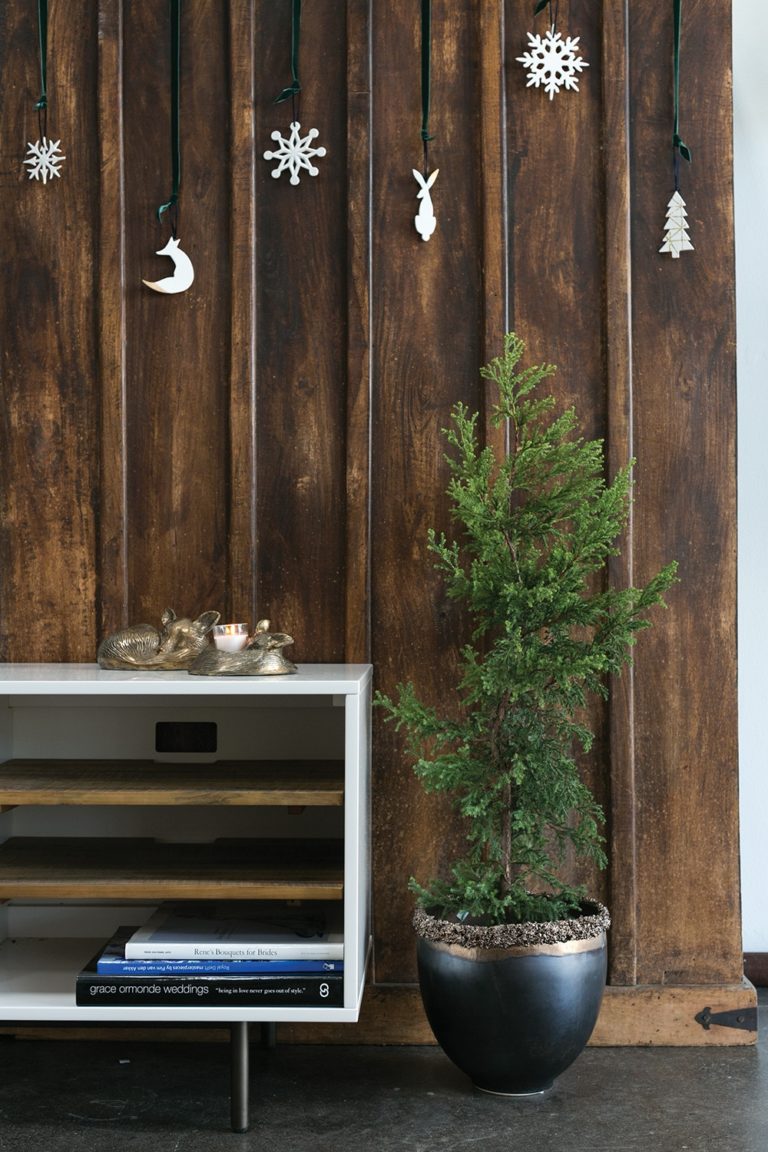 Sophie Pot Collection, Set of Two - Discontinued - Moss Manor